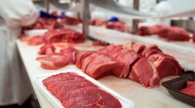 Consejos para mantener la inocuidad de los alimentos – Consejo Mexicano ...