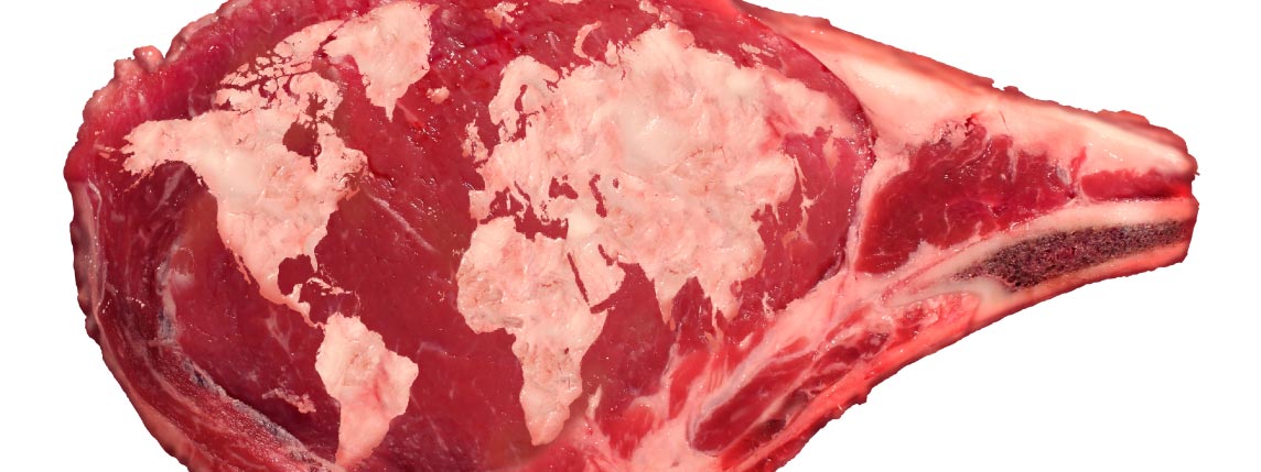 En los próximos nueve años la producción de carne en el mundo crecería ...