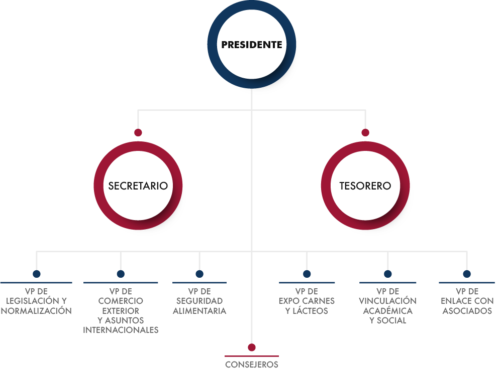 Comité Directivo – Consejo Mexicano de la Carne