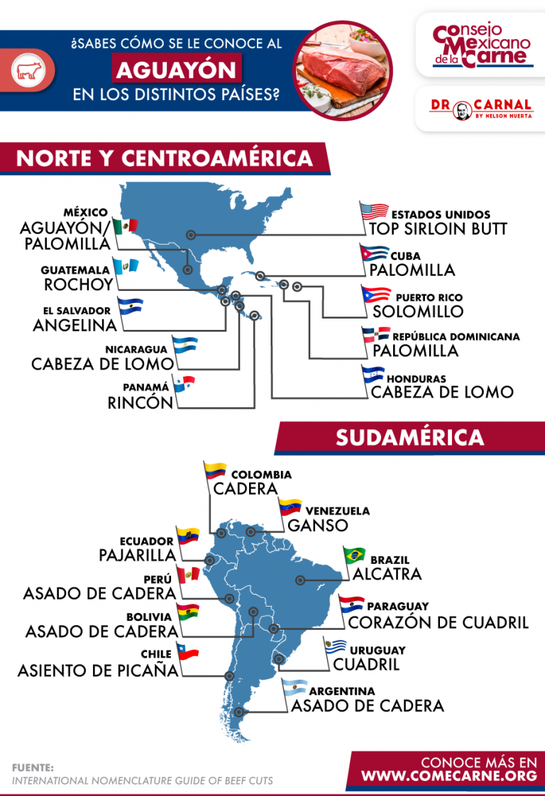 Infografía: ¿Sabes cómo se le conoce al aguayón en los distintos países ...