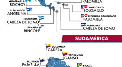 Infografía: ¿Sabes cómo se le conoce al aguayón en los distintos países ...
