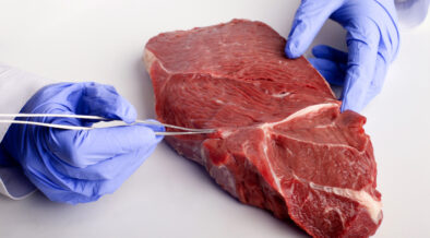 Denominación de carne y los procesos fisicoquímicos que ocurren en su ...