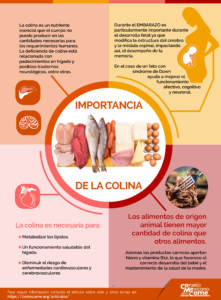 Importancia de la colina – Consejo Mexicano de la Carne